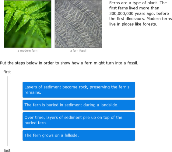 IXL - Introduction to fossils (Year 4 science practice)