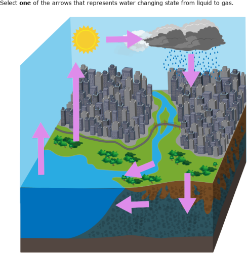 IXL - Select parts of water cycle diagrams (Year 4 science practice)