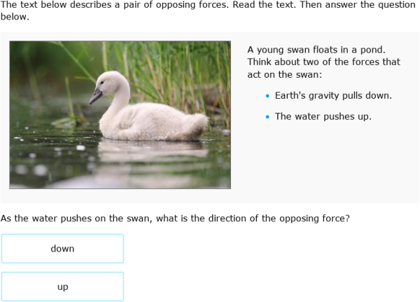 IXL - How do balanced and unbalanced forces affect motion? (Year 6 ...