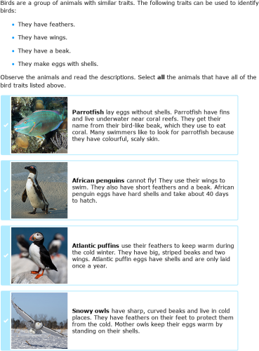 IXL - Use evidence to classify mammals, birds, fish, reptiles and ...