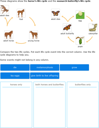 IXL - Compare animal life cycles (Year 5 science practice)