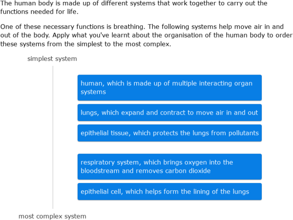 IXL - Organisation in the human body (Year 8 science practice)
