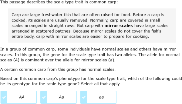 IXL - Genetics vocabulary: dominant and recessive (Year 8 science practice)