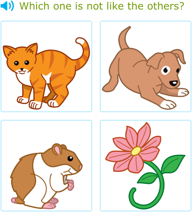 IXL - Which one is not like the others? (Reception English practice)