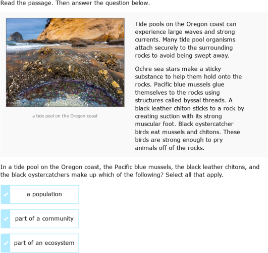 IXL - Describe populations, communities and ecosystems (Year 7 science ...