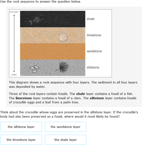 IXL - Interpret evidence from fossils in rock layers (Year 6 science ...