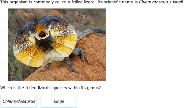 IXL - Identify common and scientific names (Year 8 science practice)