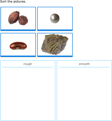 IXL - Sort objects by texture (Year 2 science practice)