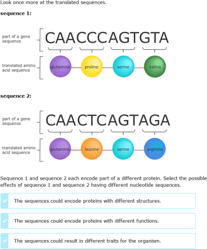 IXL - Genes, proteins and traits: understanding the genetic code (Year ...