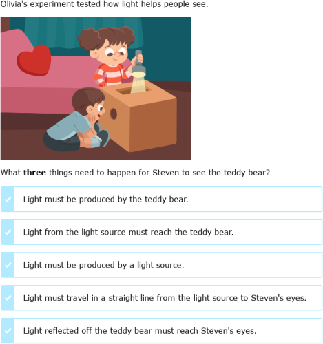 IXL - How do we see objects? (Year 4 science practice)