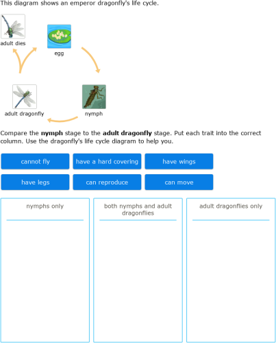 IXL - Compare animal life cycles (Year 6 science practice)