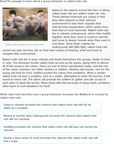 IXL - How can group behaviour affect survival? Identify evidence to ...