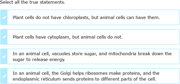 IXL - Compare cells and cell parts (Year 8 science practice)
