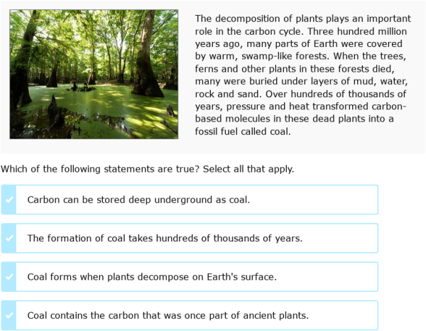 IXL - The carbon cycle (Year 7 science practice)