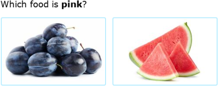 IXL - Describe objects (Year 1 science practice)