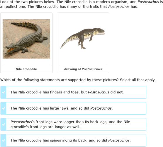 IXL - Compare ancient and modern organisms: use observations to support ...