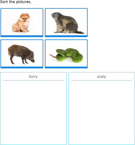 IXL - Sort objects by texture (Year 1 science practice)