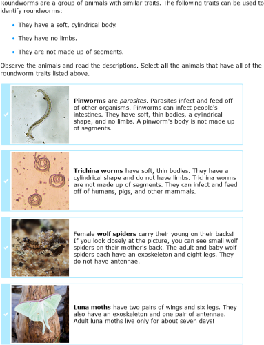 IXL - Use evidence to classify animals (Year 4 science practice)