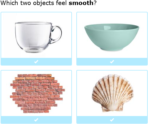 IXL - Classify objects by texture (Year 2 science practice)