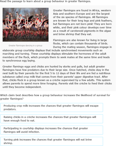 IXL - How can group behaviour affect survival? Identify evidence to ...