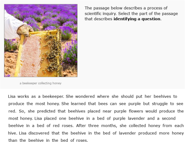 IXL - The process of scientific inquiry (Year 9 science practice)