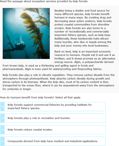 IXL - Kelp forests: factors affecting biodiversity (Year 11 science ...