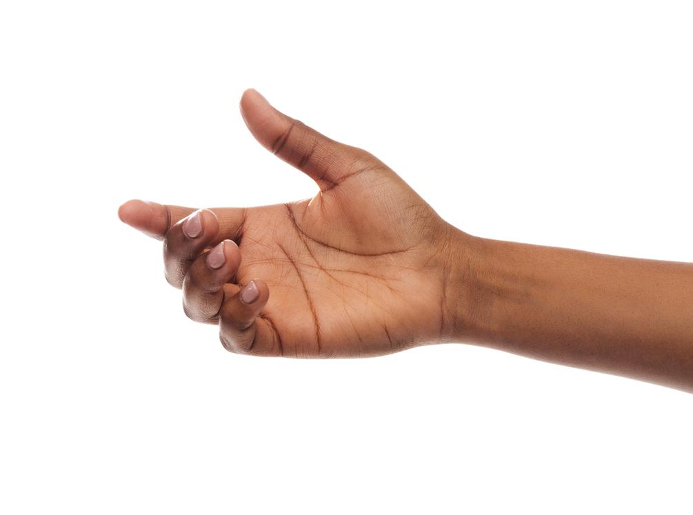 IXL - How do animals use their body parts? (Year 1 science practice)