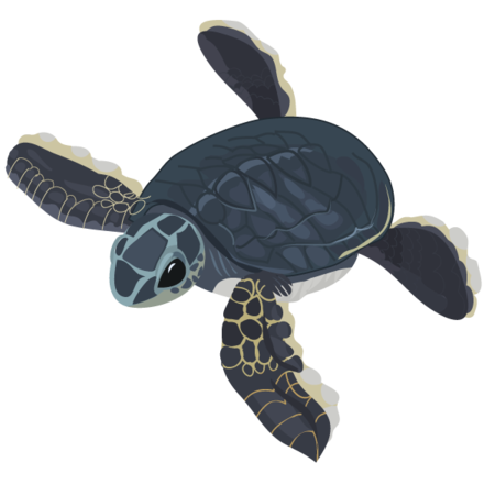 IXL - Compare different animals' life cycles (Year 3 science practice)