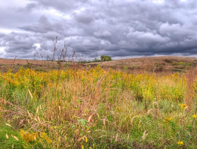 IXL - Identify ecosystems (Year 7 science practice)