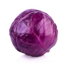 IXL - Describe objects (Year 1 science practice)