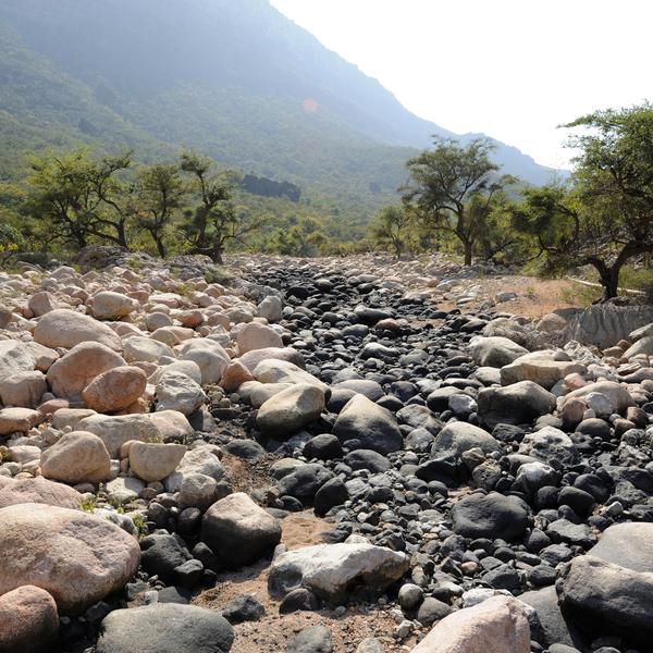 IXL - How do rock layers form? (Year 9 science practice)